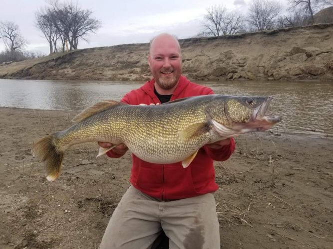 State record fish disallowed | News, Sports, Jobs - Minot Daily News